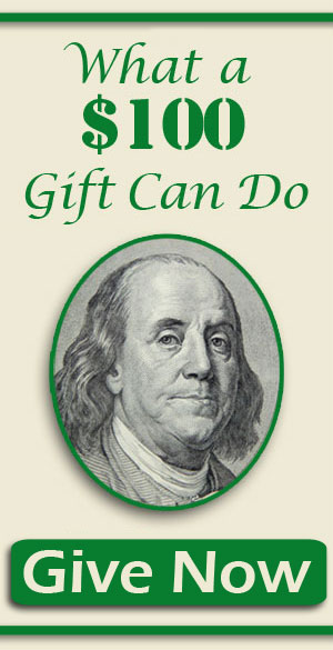 What a $100 Gift Can Do | Discover Classical